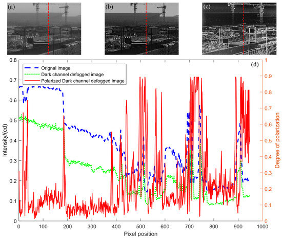 Dynamic Dark Channel Prior Dehazing with Polarization