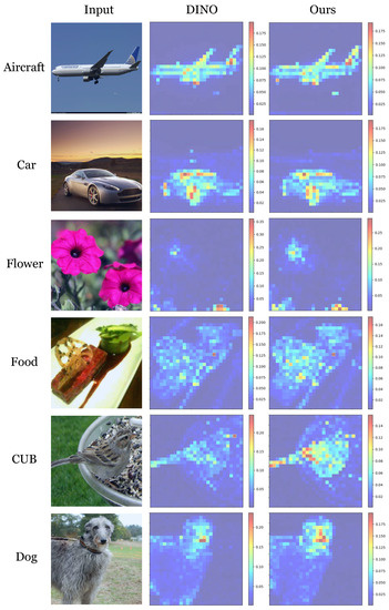 Patch-Level Consistency Regularization in Self-Supervised Transfer Learning for Fine-Grained ...