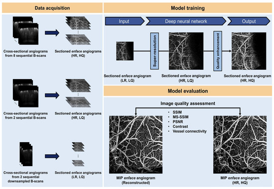 Applying Deep Learning to Medical Imaging: A Review