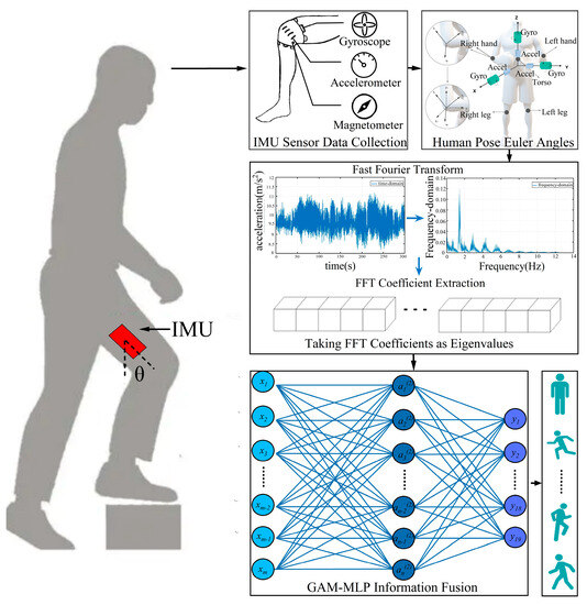 Applied Sciences | Free Full-Text | A Hybrid Human Activity Recognition Method Using an MLP ...