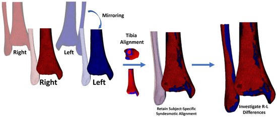 Ins and Outs of the Ankle Syndesmosis from a 2D to 3D CT Perspective