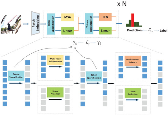Applied Sciences | Free Full-Text | TSNet: Token Sparsification for Efficient Video Transformer