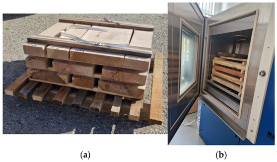 Drying Behaviour of 50 mm Thick Turkey Oak Lumber