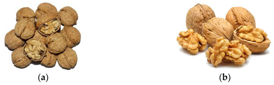 Machine Vision-Based Chinese Walnut Shell–Kernel Recognition and Separation