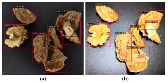 Machine Vision-Based Chinese Walnut Shell–Kernel Recognition and Separation