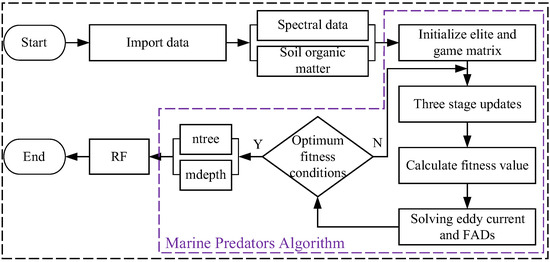 Applied Sciences | Free Full-Text | Estimating Organic Matter Content in Hyperspectral Wetland ...