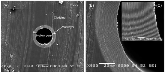 Hollow-Core Optical Fibers for Telecommunications and Data Transmission