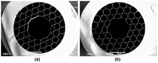 Hollow-Core Optical Fibers for Telecommunications and Data Transmission