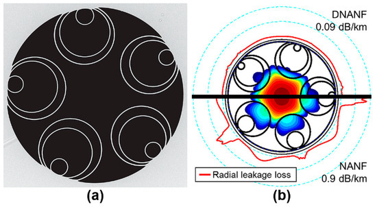 Hollow-Core Optical Fibers for Telecommunications and Data Transmission