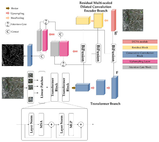 Dual Parallel Branch Fusion Network for Road Segmentation in High ...