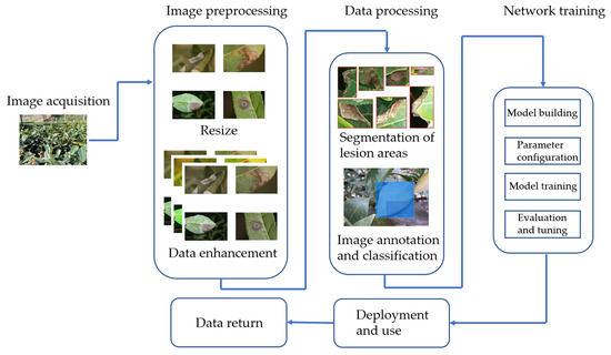The Application Status and Trends of Machine Vision in Tea Production