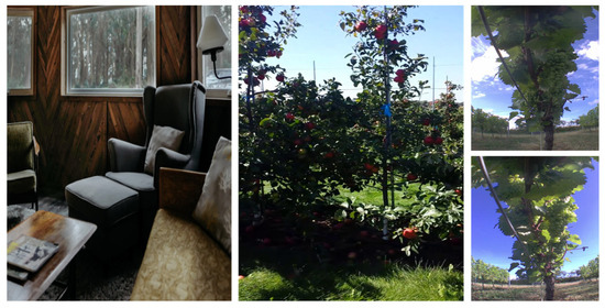 Applied Sciences | Free Full-Text | Contrast Enhancement-Based Preprocessing Process to Improve ...