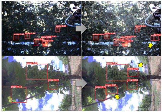 Applied Sciences | Free Full-Text | Contrast Enhancement-Based Preprocessing Process to Improve ...