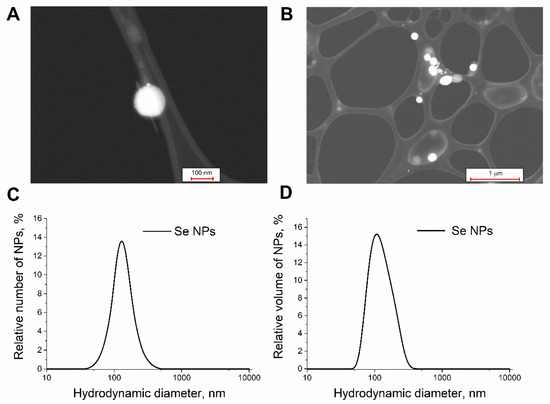 Comparative Study of the Anticancer Effects of Selenium Nanoparticles ...