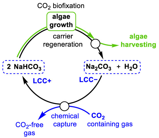Applied Sciences | Free Full-Text | Integrated Carbonate-Based CO2 Capture—Biofixation through ...