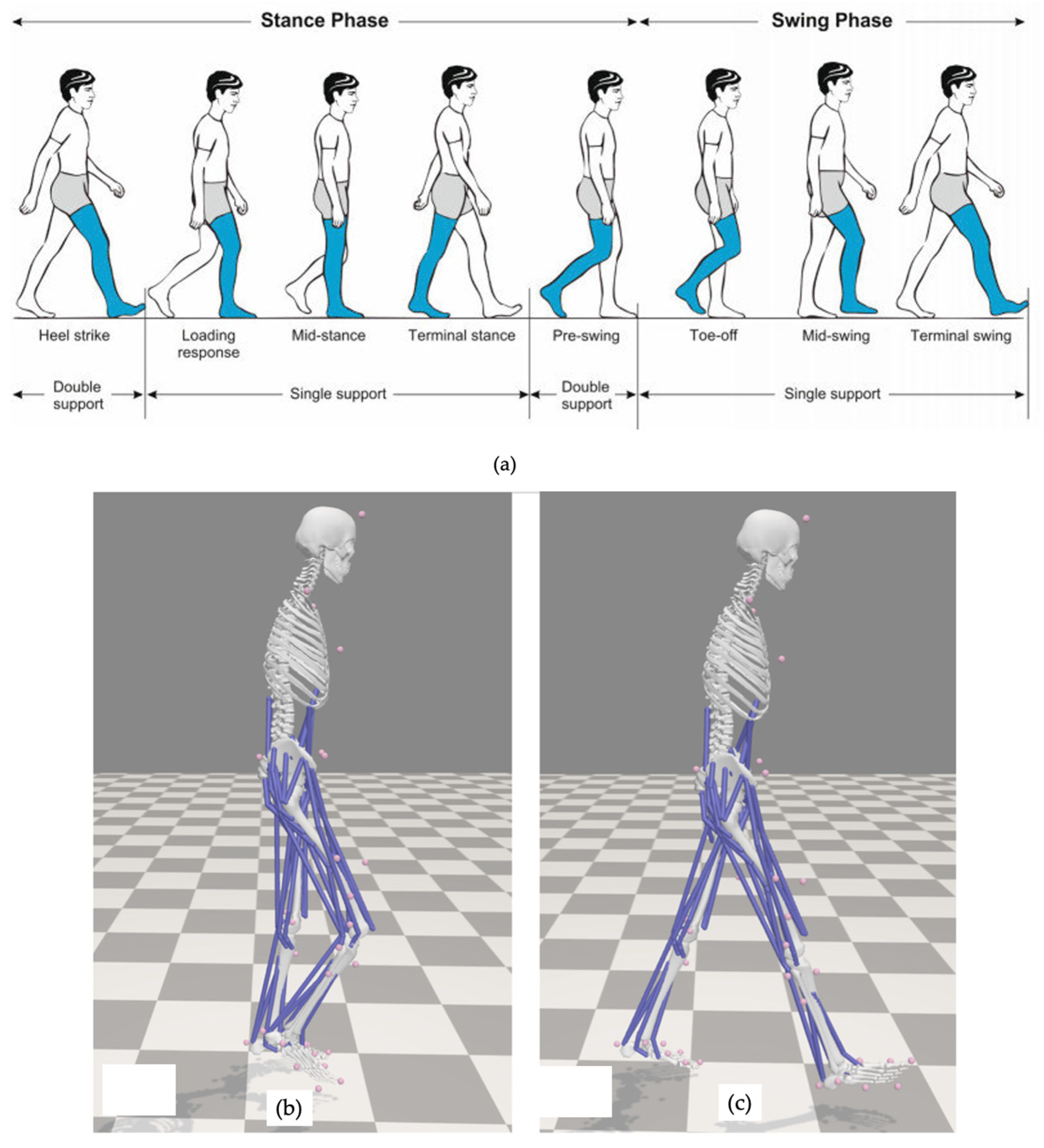 Gait Phase Identification and Damping Control for Knee Orthosis Using ...
