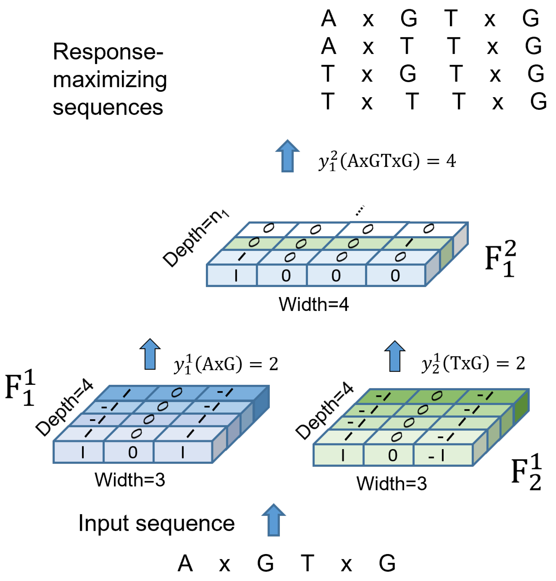 Detection Of Unknown Polymorphic Patterns Using Feature Extracting Part Of A Convolutional