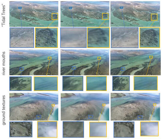 Neural Radiation Fields in a Tidal Flat Environment