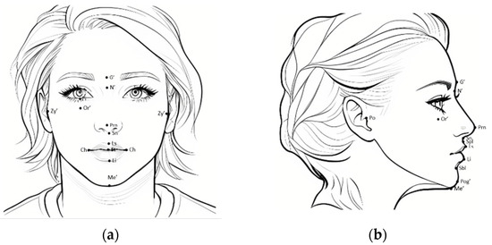Anthropometric vs. Dental Variables of the Ageing Face: A Clinical Study