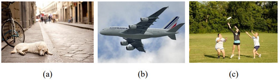 Applied Sciences | Free Full-Text | Infrared and Visible Image Fusion ...