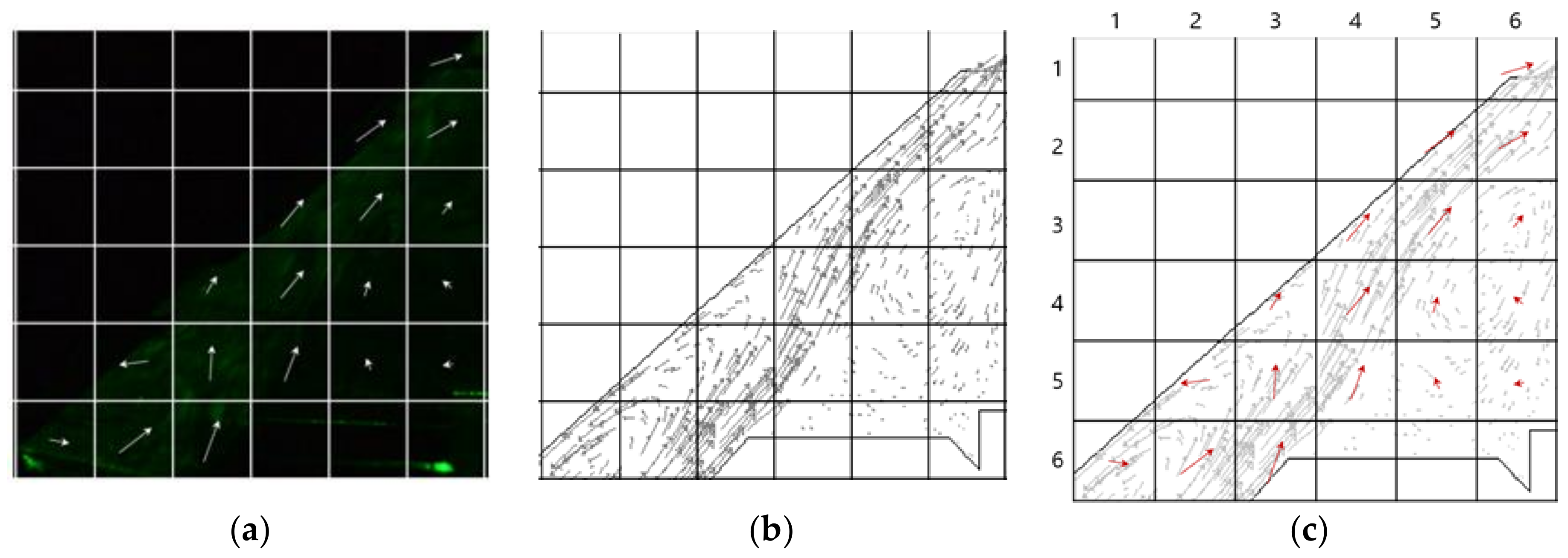 Optical Particle Visualization Technique Using Red–Green–Blue and Core ...