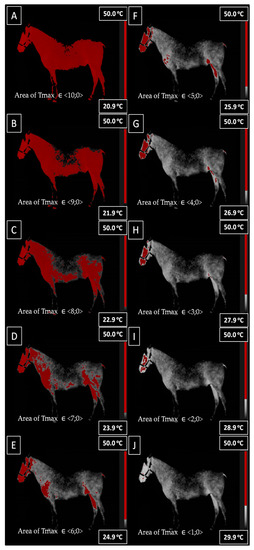 Quantification of the Area of the Highest Temperature in Equine ...