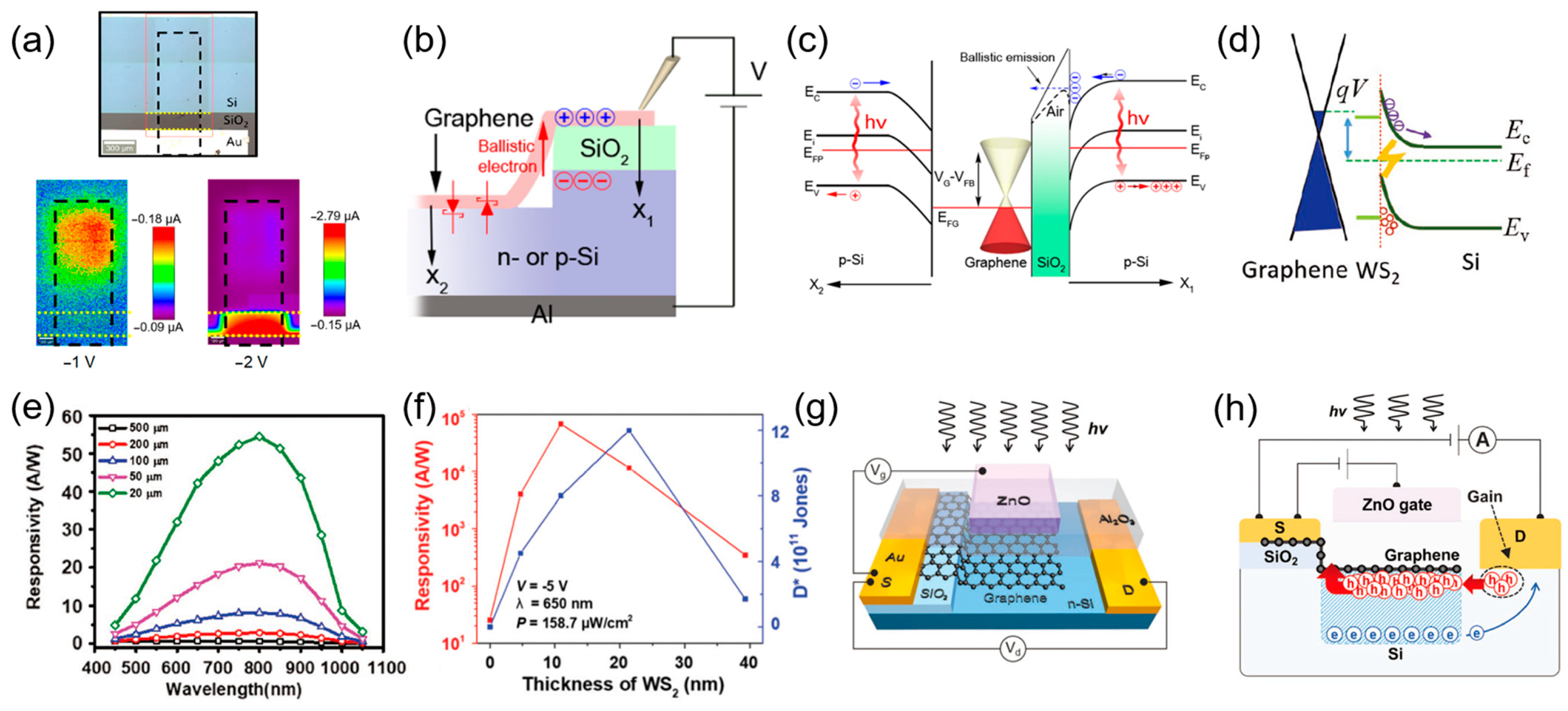 Applied Sciences | Free Full-Text | Recent Advances in Photodetectors Based on Two-Dimensional ...