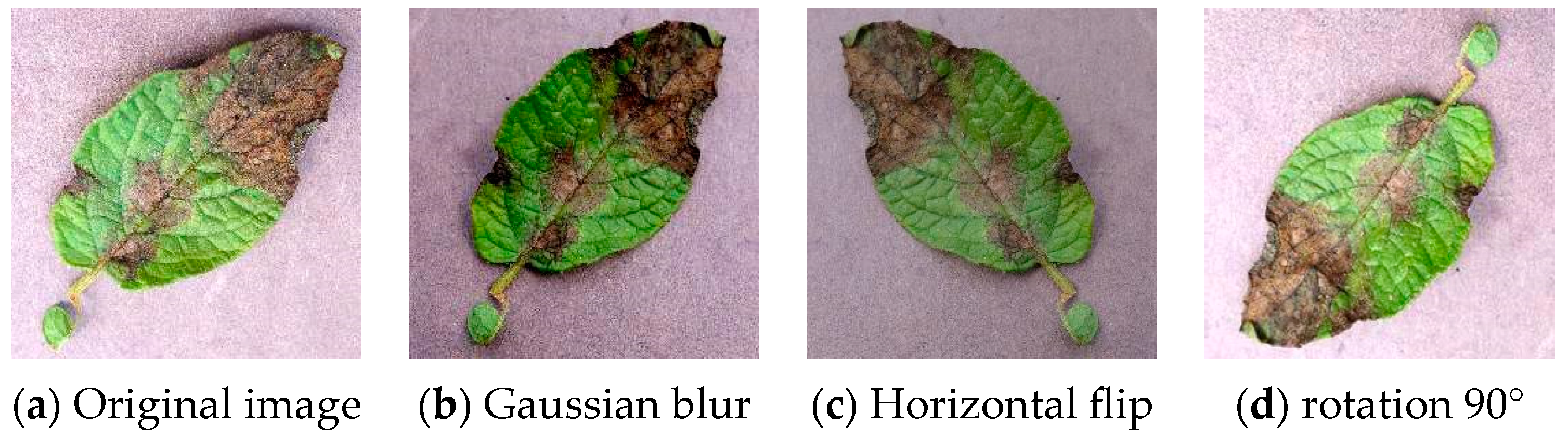 Potato Leaf Disease Segmentation Method Based on Improved UNet