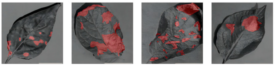 Potato Leaf Disease Segmentation Method Based on Improved UNet