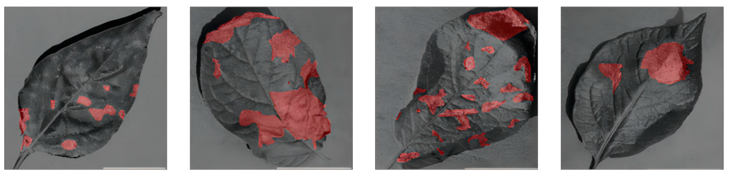Potato Leaf Disease Segmentation Method Based On Improved Unet