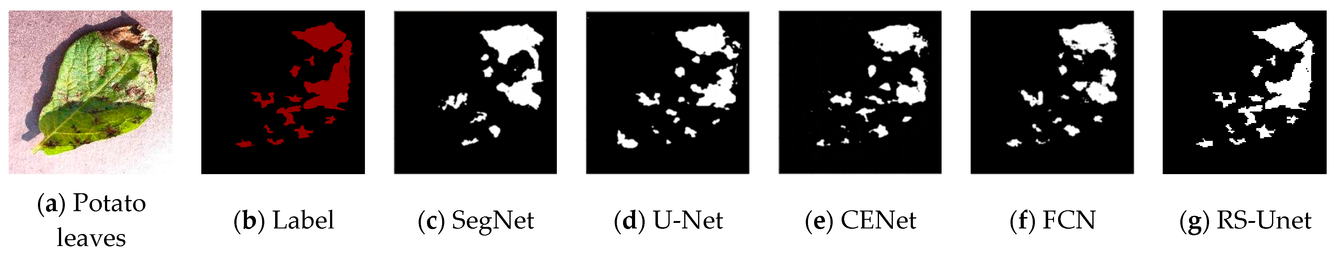 Potato Leaf Disease Segmentation Method Based On Improved Unet