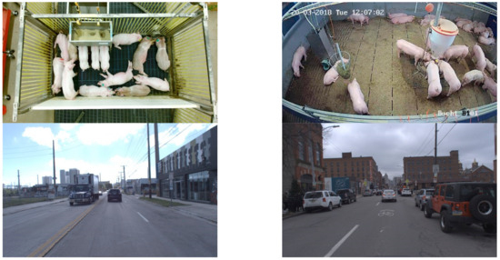 SAFP-YOLO: Enhanced Object Detection Speed Using Spatial Attention-Based Filter Pruning