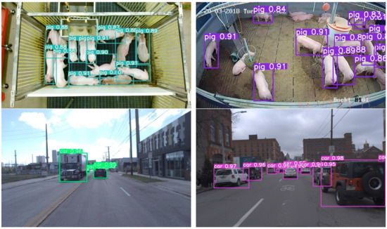 SAFP-YOLO: Enhanced Object Detection Speed Using Spatial Attention-Based Filter Pruning