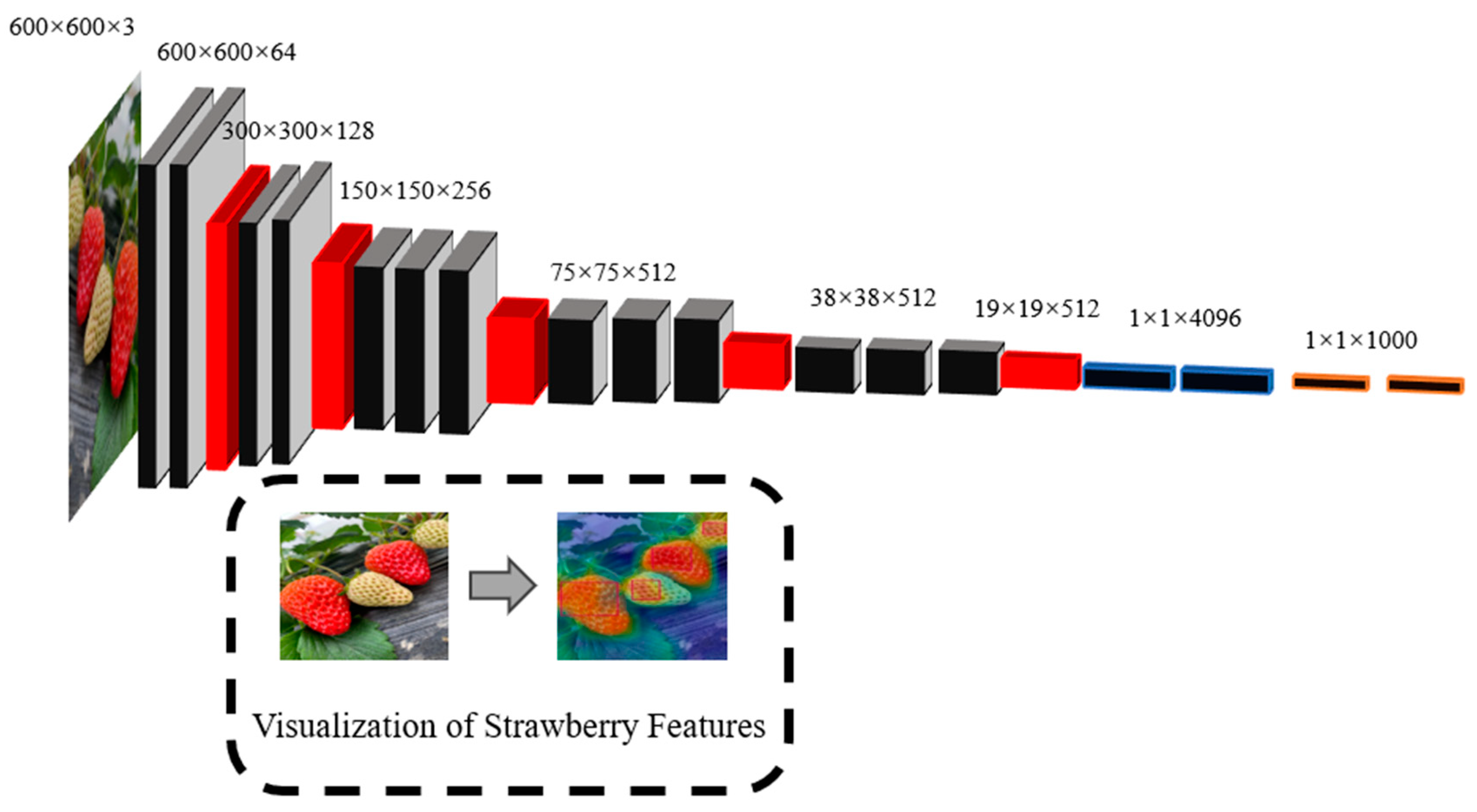 Research on the Strawberry Recognition Algorithm Based on Deep Learning