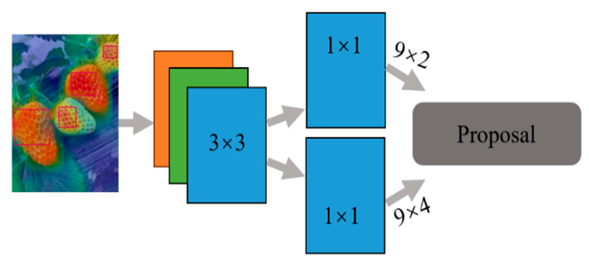 Research on the Strawberry Recognition Algorithm Based on Deep Learning