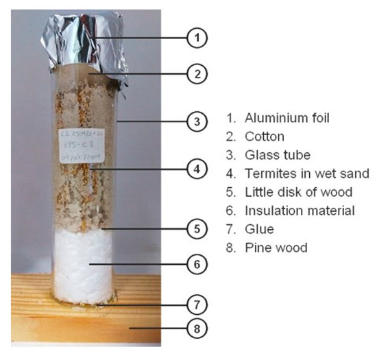 Insulation Materials Susceptibility to Biological Degradation Agents ...