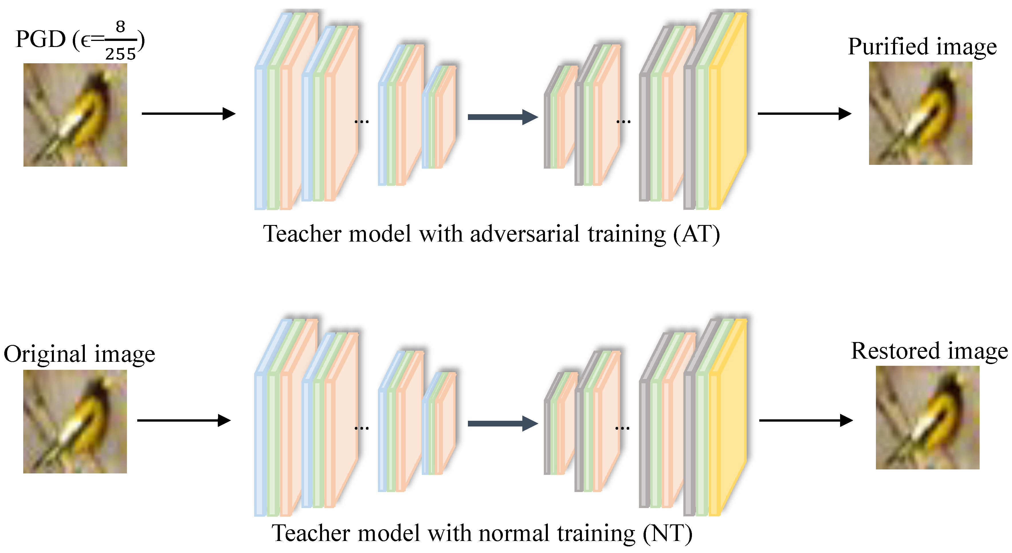Improving Adversarial Robustness via Distillation-Based Purification