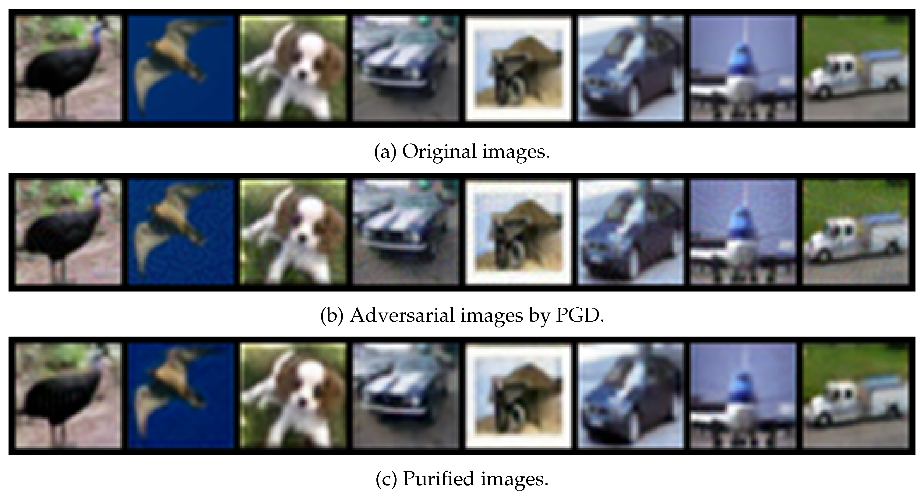 Improving Adversarial Robustness via Distillation-Based Purification