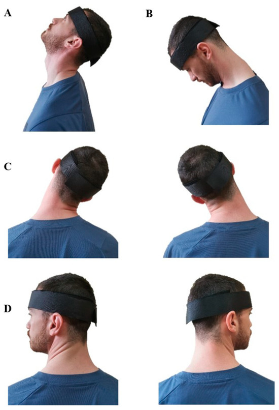 Functional Capacity Profile of the Cervical Joint in Young Adults: Sex ...