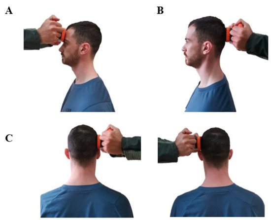 Applied Sciences | Free Full-Text | Functional Capacity Profile of the ...