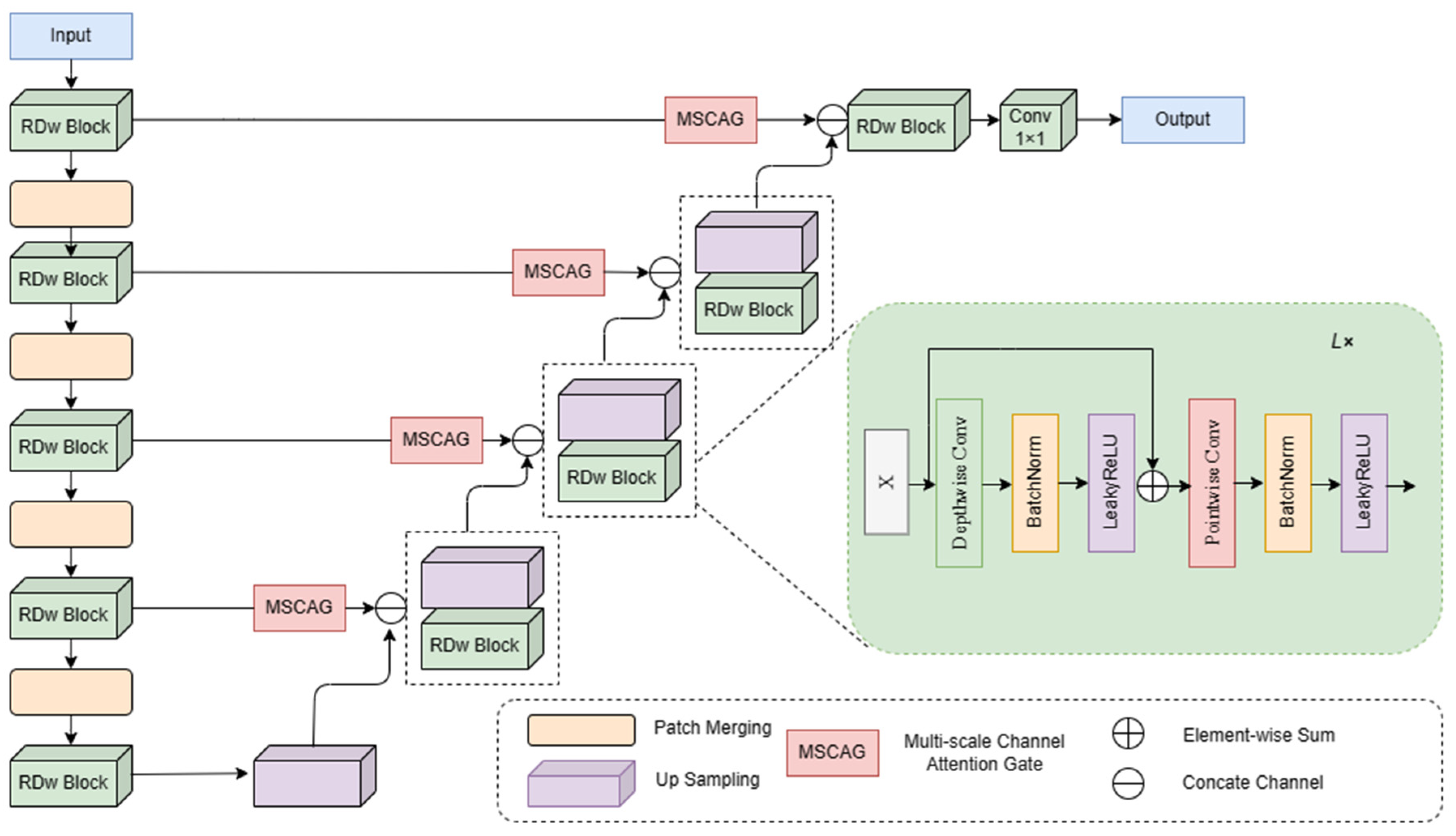 Rmau Net Breast Tumor Segmentation Network Based On Residual Depthwise Separable Convolution