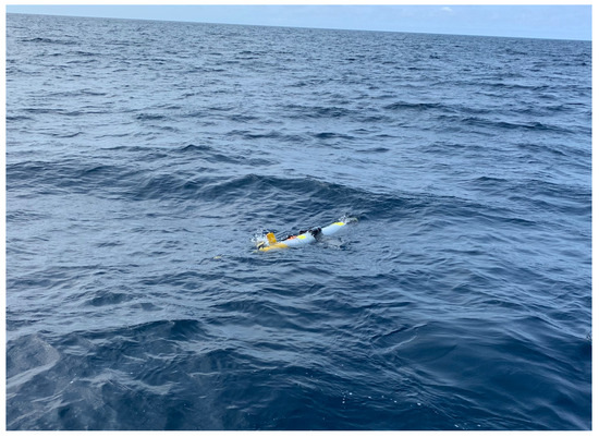 Design and Analysis of the High-Speed Underwater Glider with a Bladder ...