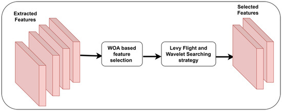 Artificial Intelligence-Driven Eye Disease Classification Model