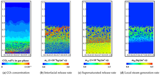 Construction of a Numerical Model for Flow Flash Evaporation with Non-Condensable Gas
