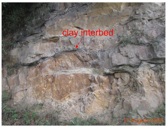 A Review of the Evolution Characteristics and Argillization of Clay ...