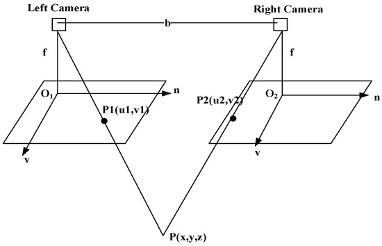 A Vision-Based Method for Simultaneous Instance Segmentation and ...
