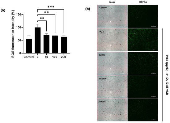 Assessment of the Antioxidant Properties of Horned Turban (Turbo ...