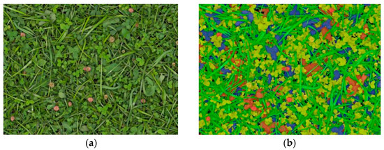 Clover Dry Matter Predictor Based on Semantic Segmentation Network and Random Forest