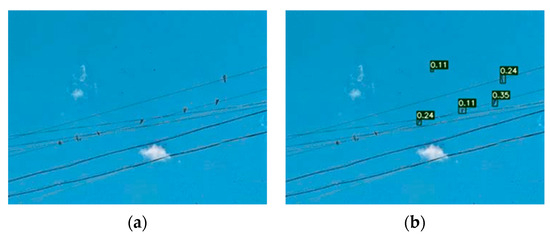 Bird Detection on Power Transmission Lines Based on Improved YOLOv7