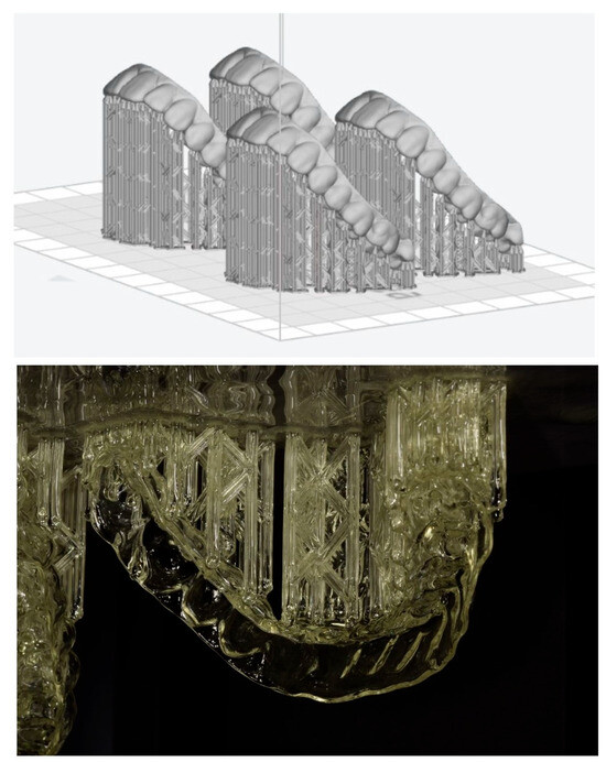 Effect of Curing Time and Nitrogen Generator Usage on Direct 3D-Printed ...